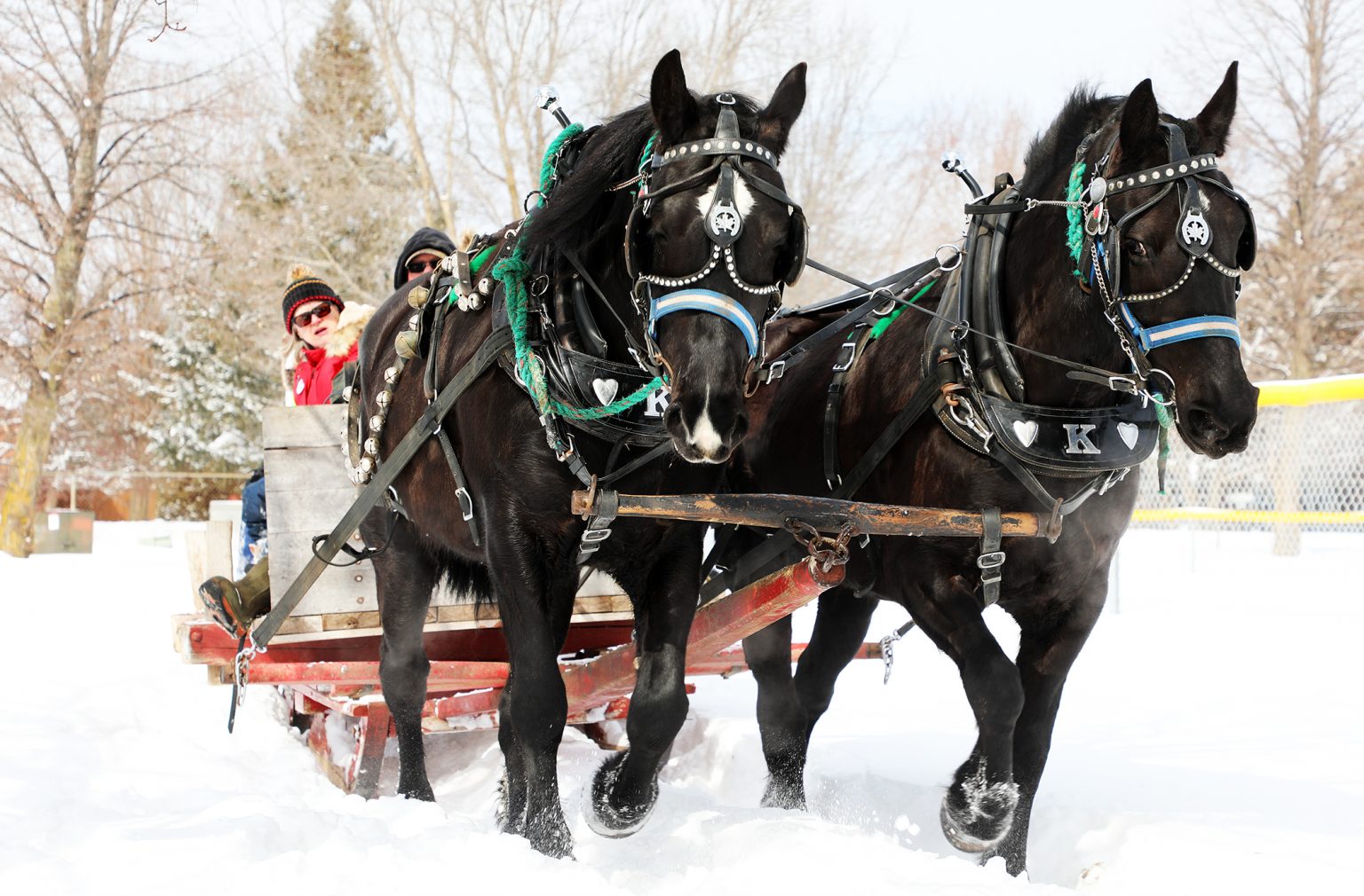 Carp Winter Carnival a cold comfort - West Carleton Online